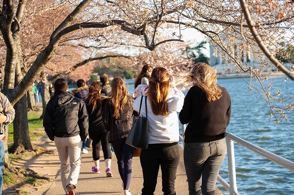 First-Timer's Guide to Washington, DC Cherry Blossom Season